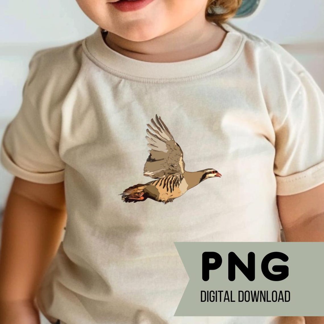 Chukar PNG Chukar Hunter Design Upland Bird Hunting PNG Hunting ...