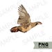 Chukar PNG Chukar Hunter Design Upland Bird Hunting PNG Hunting ...