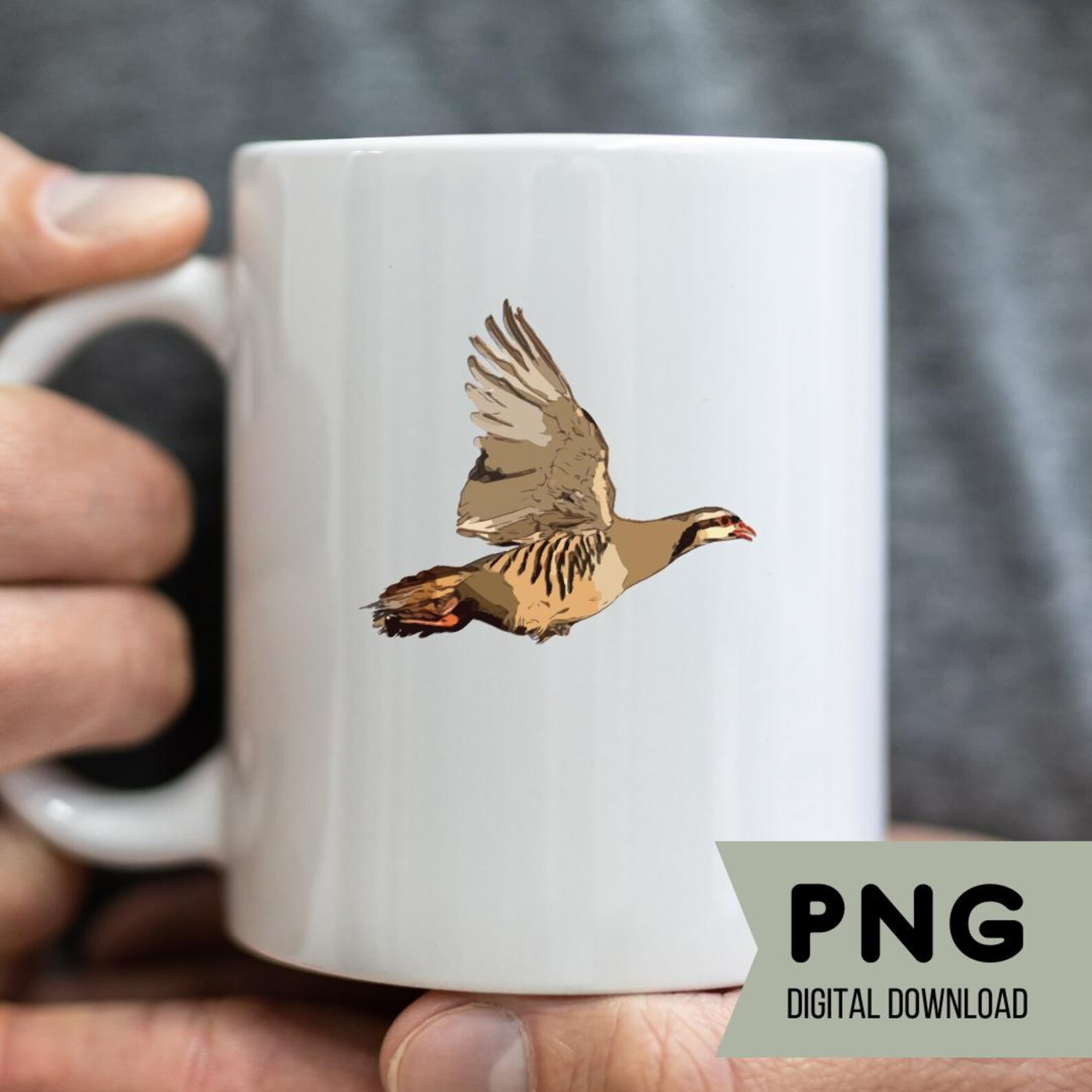 Chukar PNG Chukar Hunter Design Upland Bird Hunting PNG Hunting ...