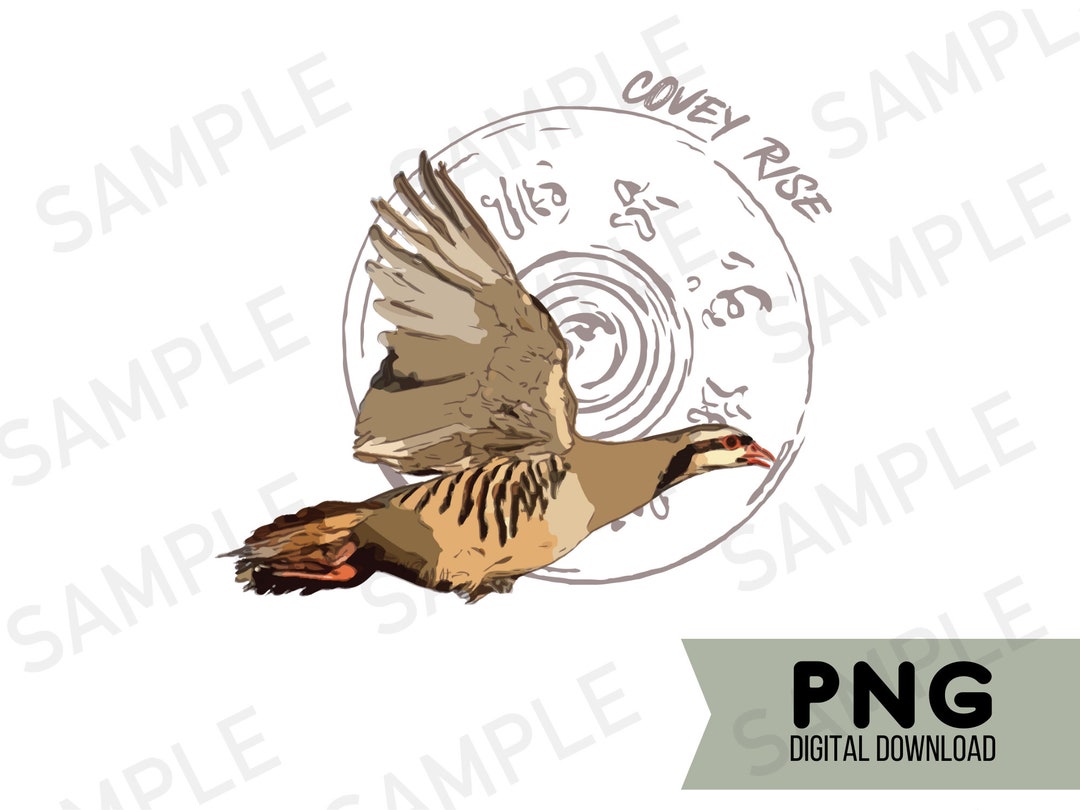 Chukar Sublimation PNG Bird Hunting Sublimation Pnghunting Sublimation ...