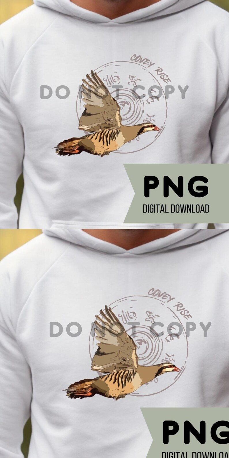 Chukar PNG Bird Hunting Sublimation Upland Bird Tshirt Flying Chukar ...