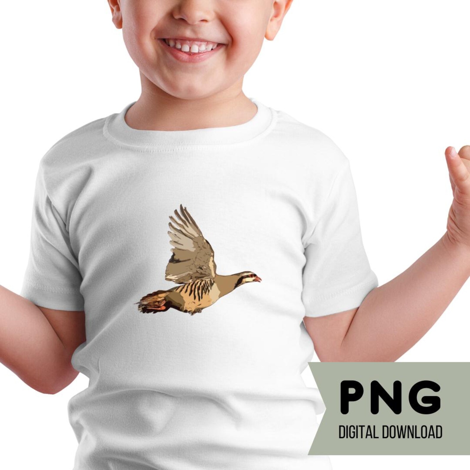 Chukar PNG Chukar Hunter Design Upland Bird Hunting PNG Hunting ...