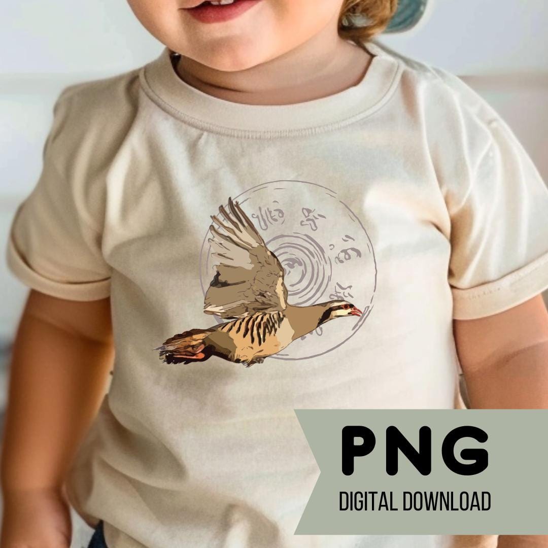 Chukar PNG Flying Chukar Bird Hunting Tshirt Design PNG Upland Bird ...