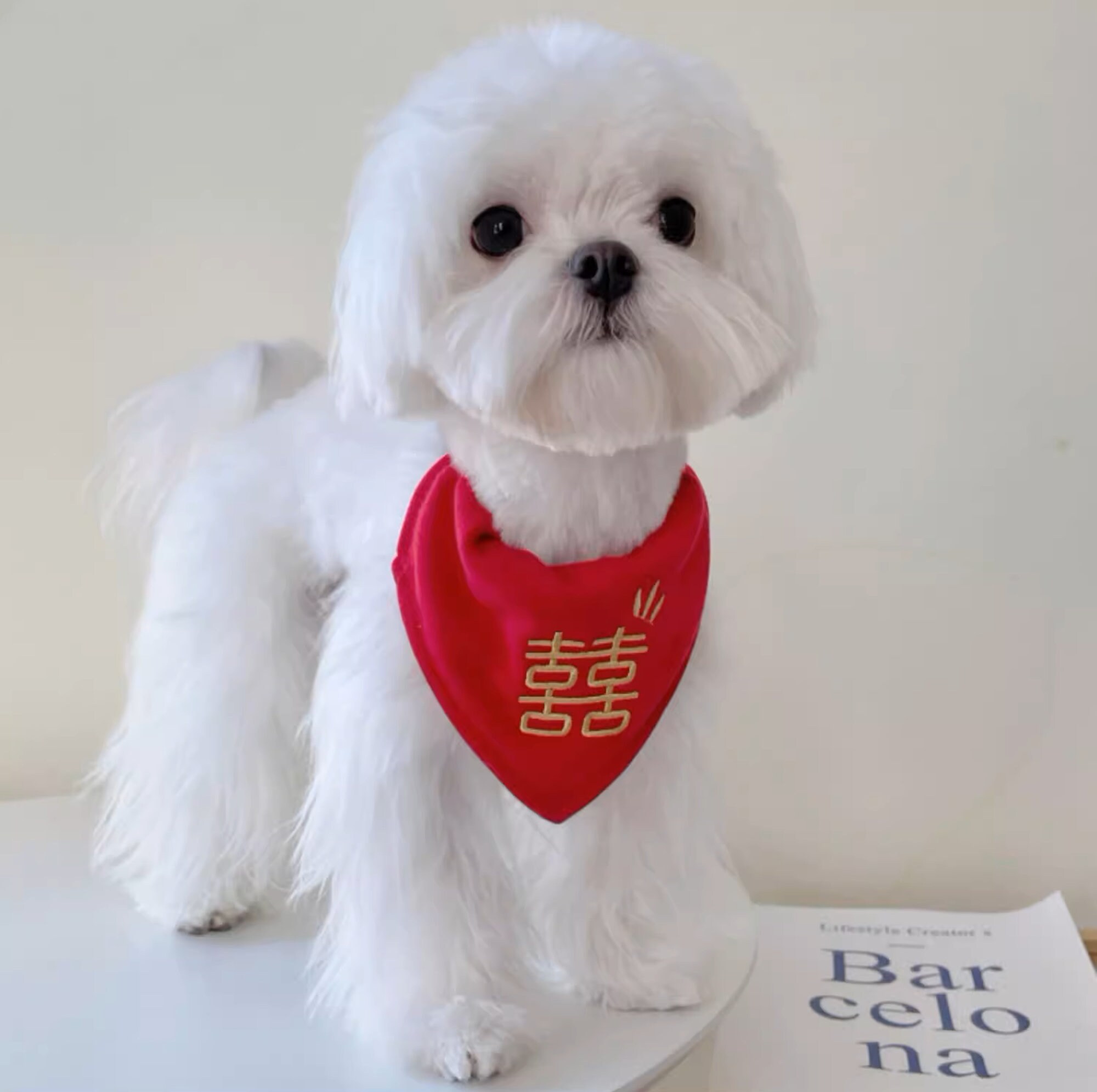 Dog / Cat Bandana With Chinese Double Happiness 囍 Stitching | Over the ...