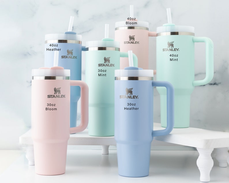 Stanley Tumbler Engraved With Mushroom Design | Frost Stanley Quencher ...