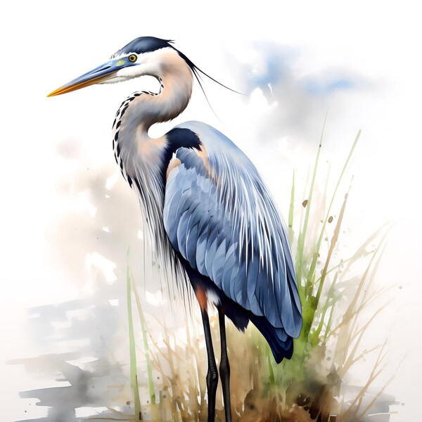 Heron Watercolor - Etsy