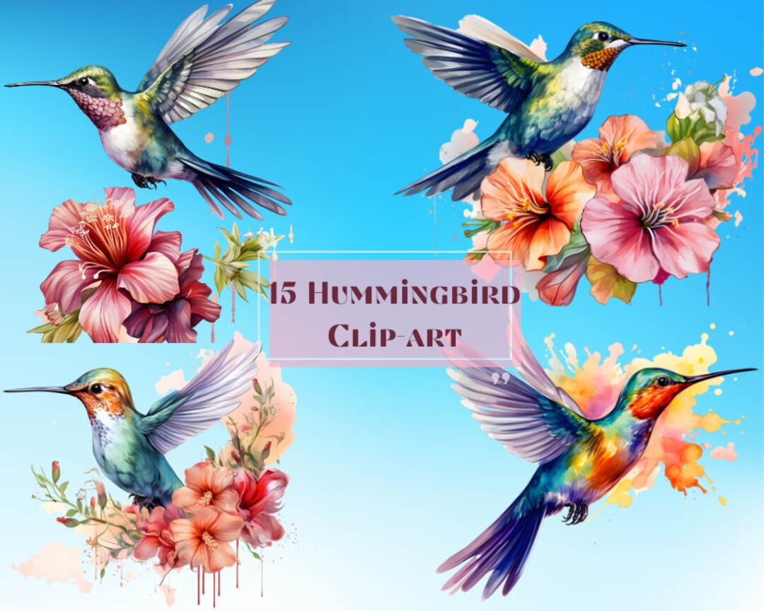 11 Watercolor Humming Bird Clipart, PNG Humming Birds, Clipart ...