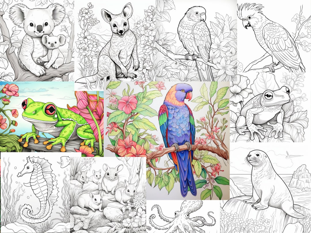20 Absolutely Awesome Australian Animals Printable Colouring Pages ...