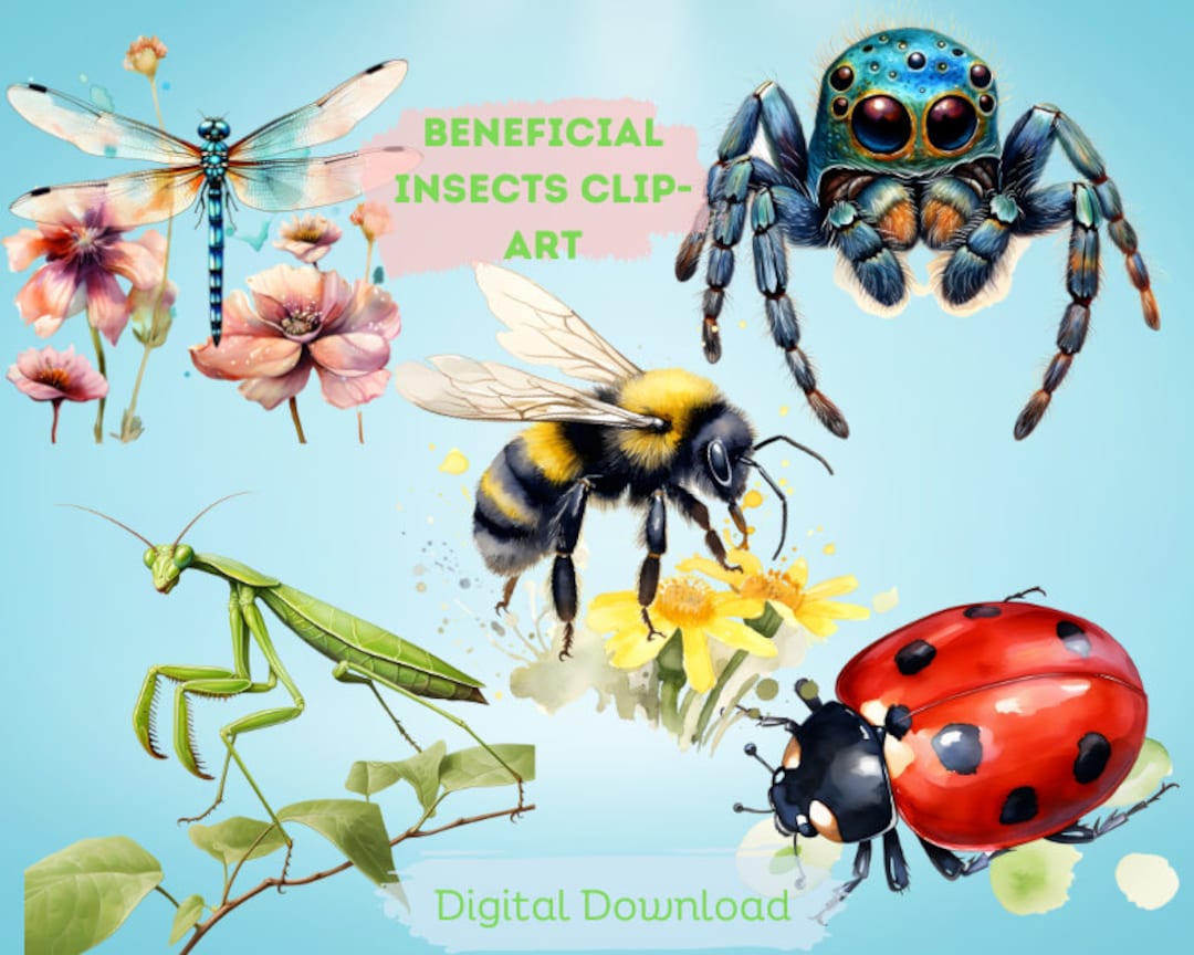 Beneficial Bugs Clipart, Spring Clipart, Insects Clipart Scrapbooking ...