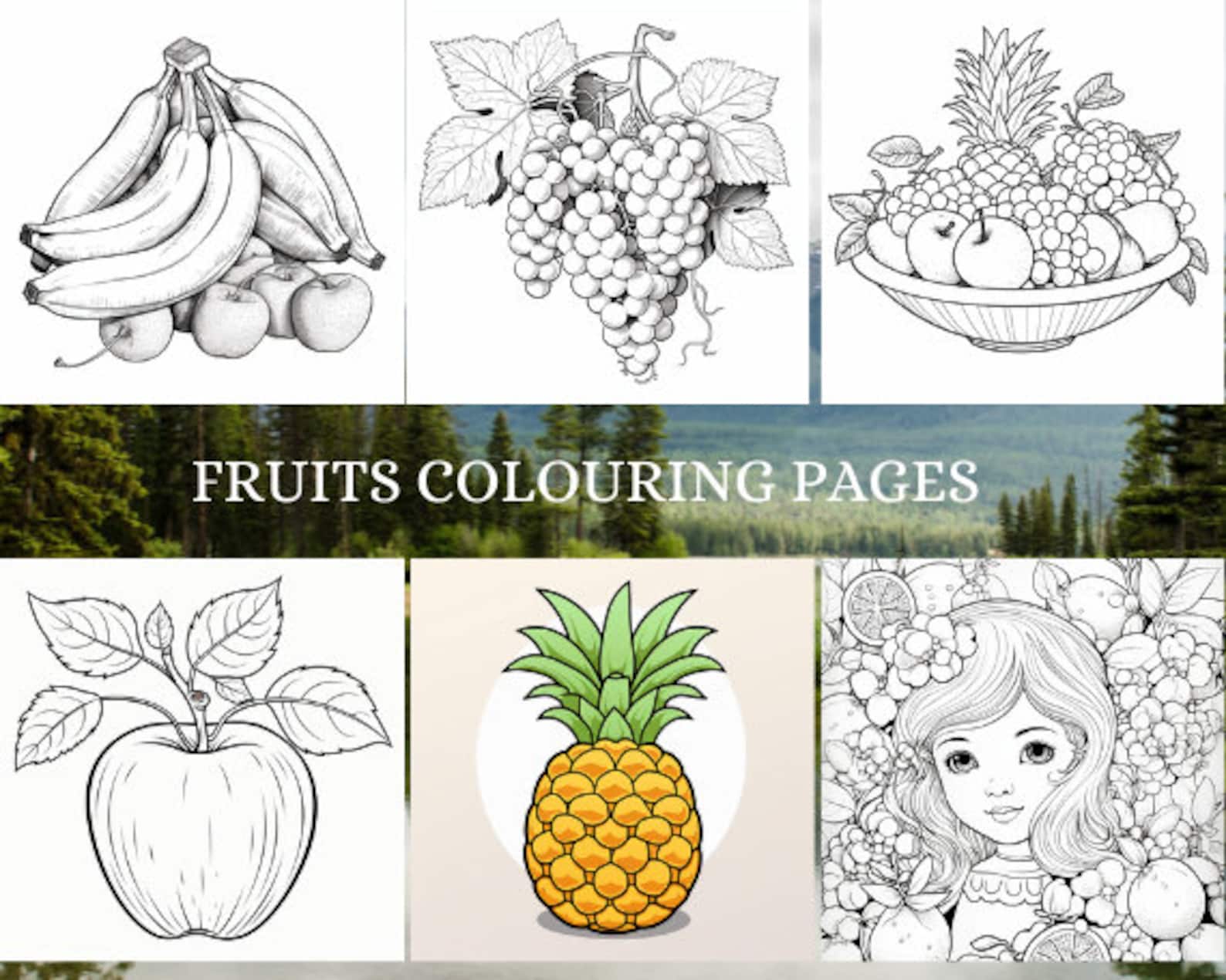 Fruit Colouring Pages Printable Colouring Pages for Kids 15 Individual ...