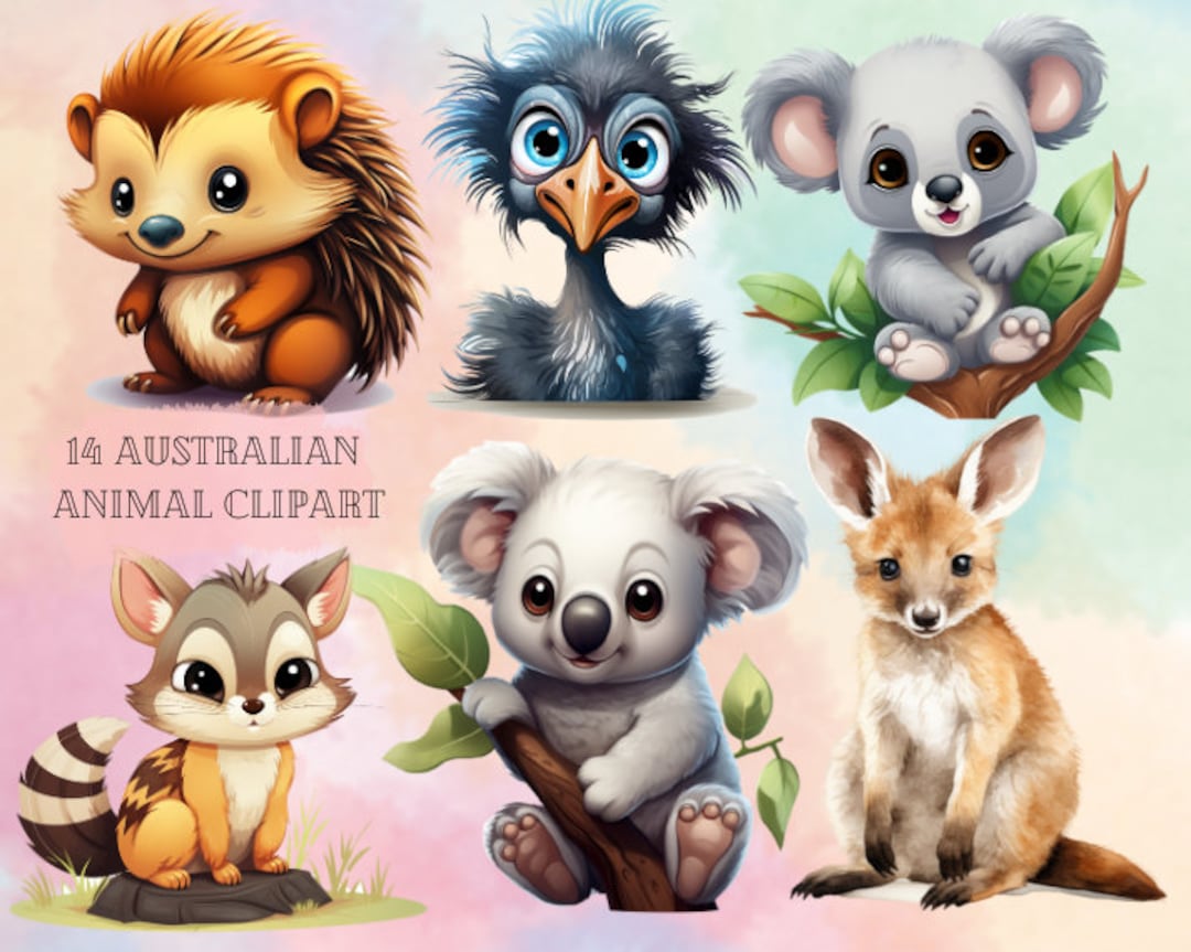 Cute Australian Animals Watercolor PNG Bundle, Digital Crafts Designs ...