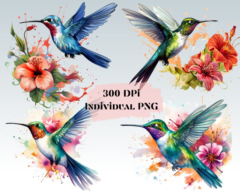 11 Watercolor Humming Bird Clipart, PNG Humming Birds, Clipart ...