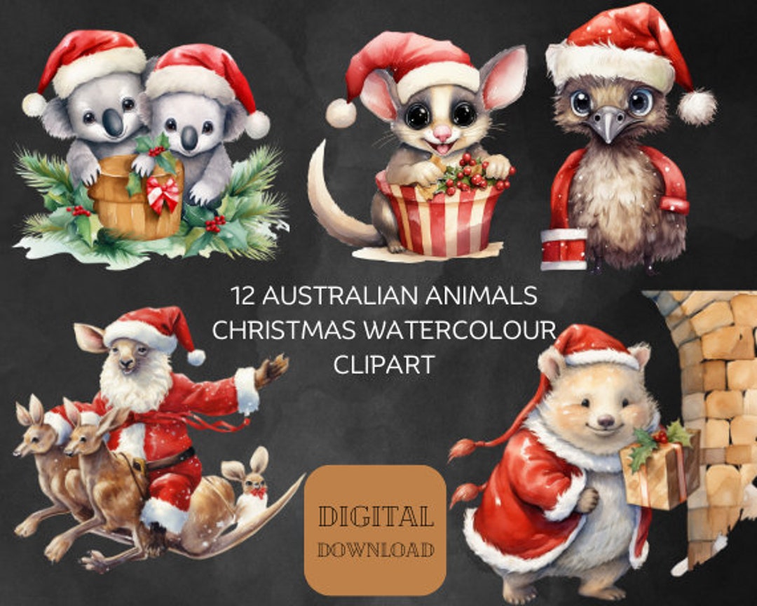 Cute Australian Animals CHRISTMAS THEME Watercolor Clipart, Watercolour ...