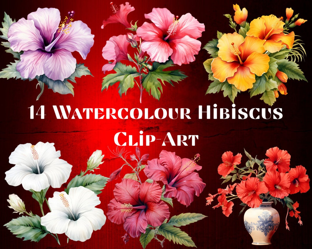Watercolor Hibiscus Clipart, Tropical Bouquets and Flowers PNG Clip Art ...