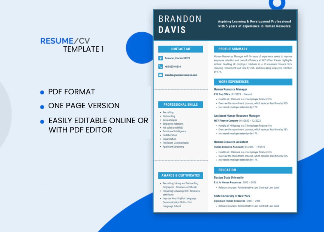 Professional Resume Template PDF. CV Template Professional - Etsy