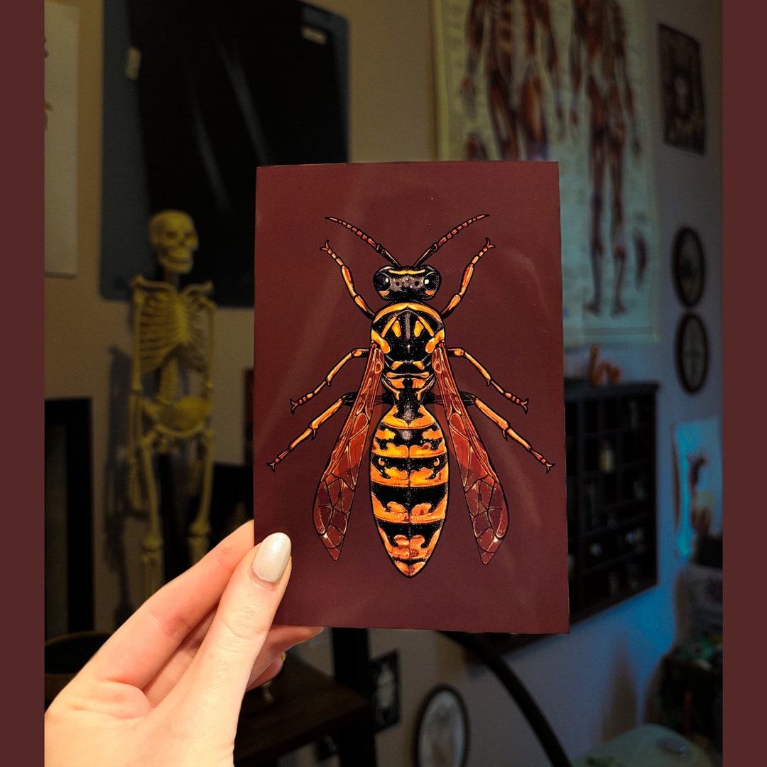 Bug Wasp Mini 4’ X 6’ Glossy Art Print Handmade Insect Wall Art - Etsy