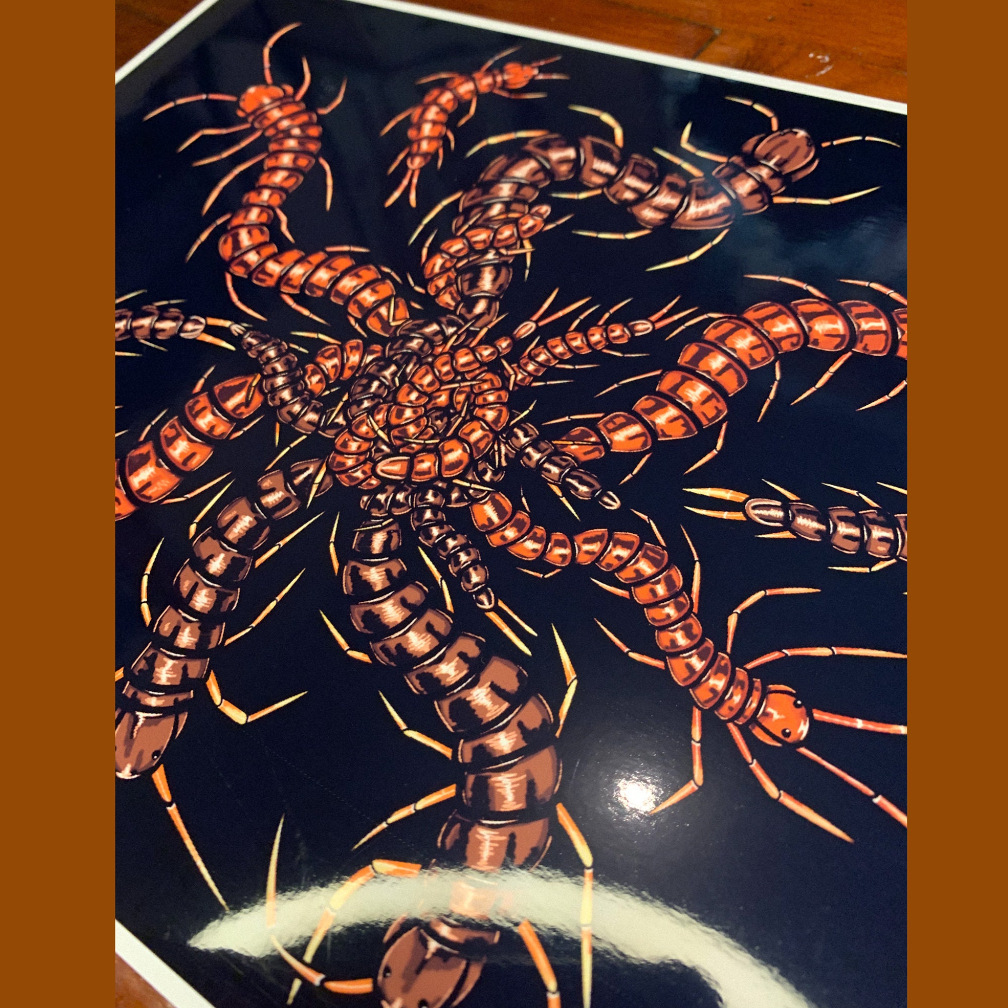 Creepy Centipede Rat King Glossy Art Print Horror Wall Art - Etsy