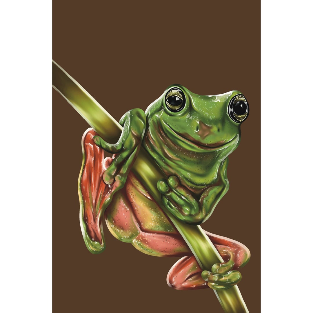 Frog Frank the Frog Chilling Out Cute Glossy Mini Art Print 4’ X 6’ - Etsy