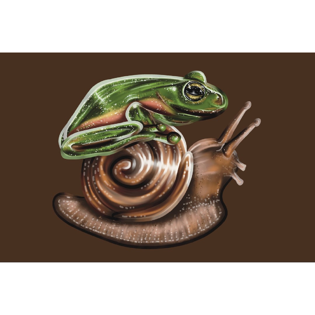 Frog Frank the Frog on A Snail Glossy Mini Art Print 4’ X 6’ Cute Wall ...