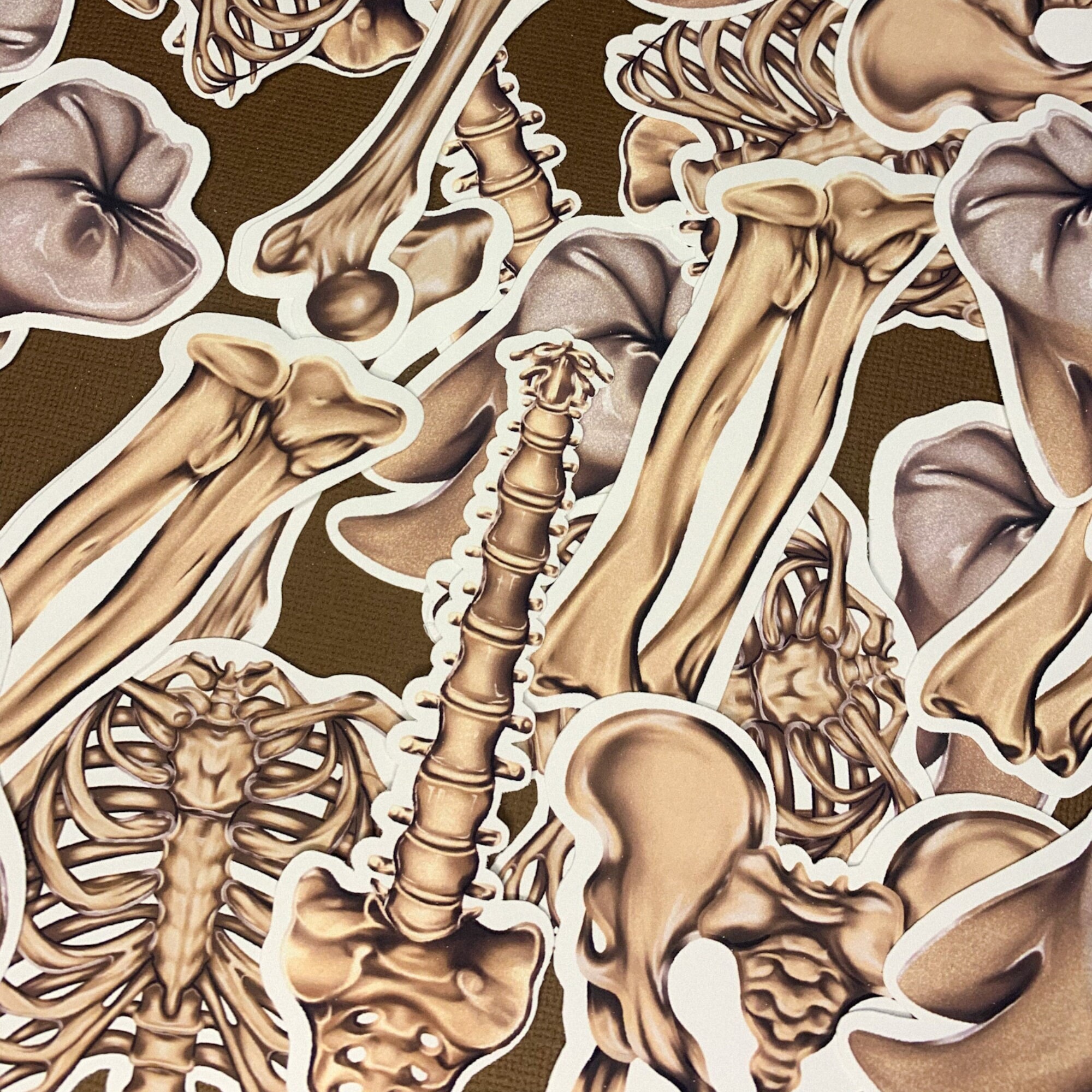 Bone Stickers Bag of Bones Anatomy Matte or Glossy Die Cut Vinyl Creepy ...