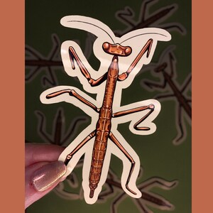 Bug Stick Insect Walking Stick Glossy Die Cut Vinyl Handmade - Etsy