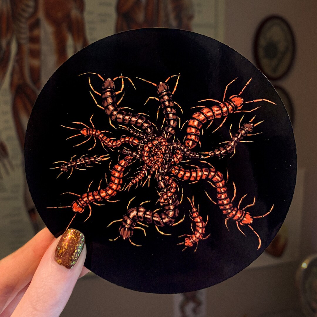 Creepy Centipede Round Creepy Glossy Die Cut Sticker - Etsy