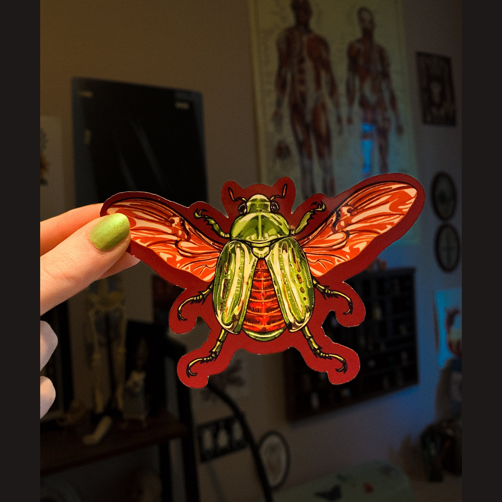 Glorious Scarab Beetle Bug Chrysina Gloriosa Glossy Die Cut Vinyl ...