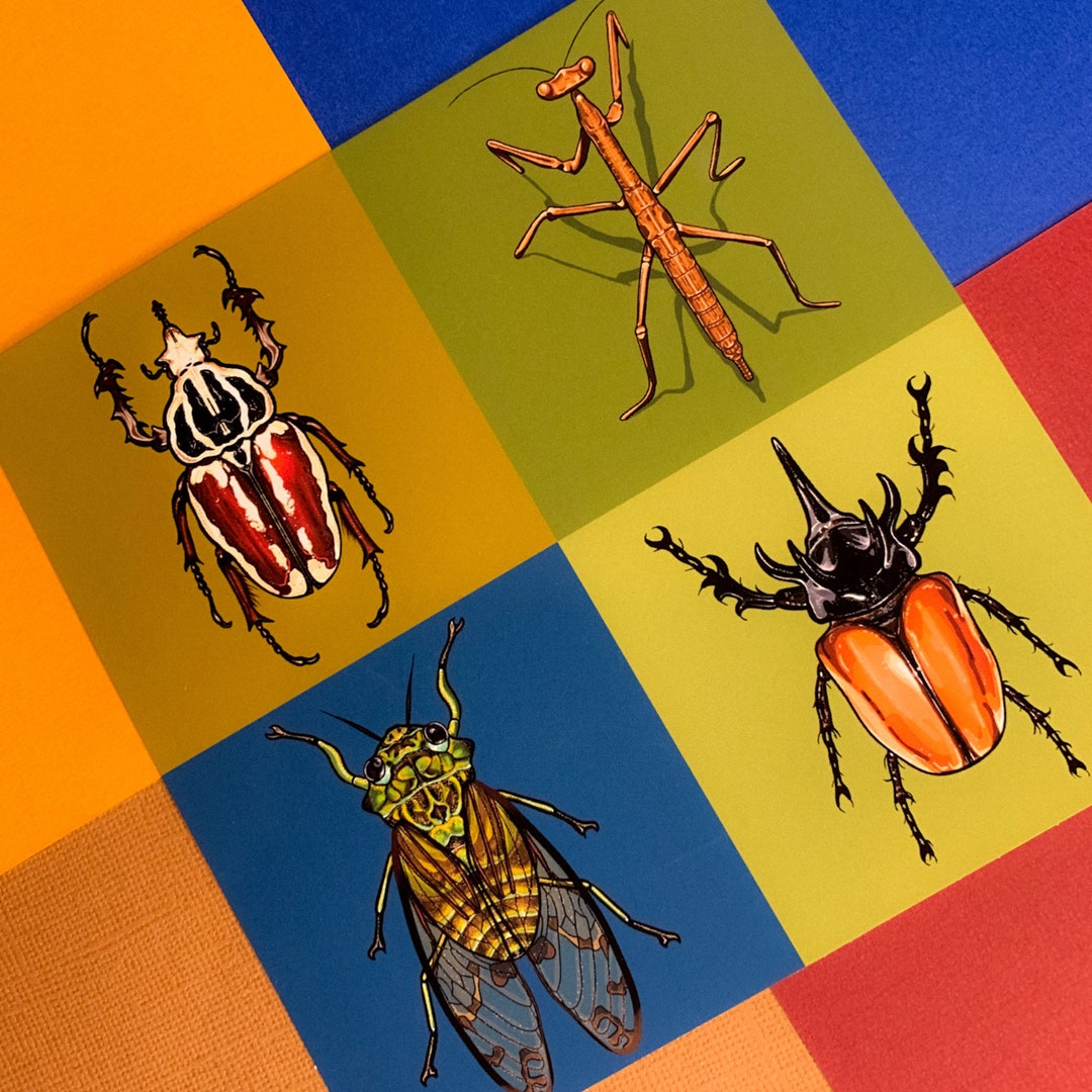 Bug Collage Funky Beetle Mini Glossy or Matte Art Print Handmade Insect ...