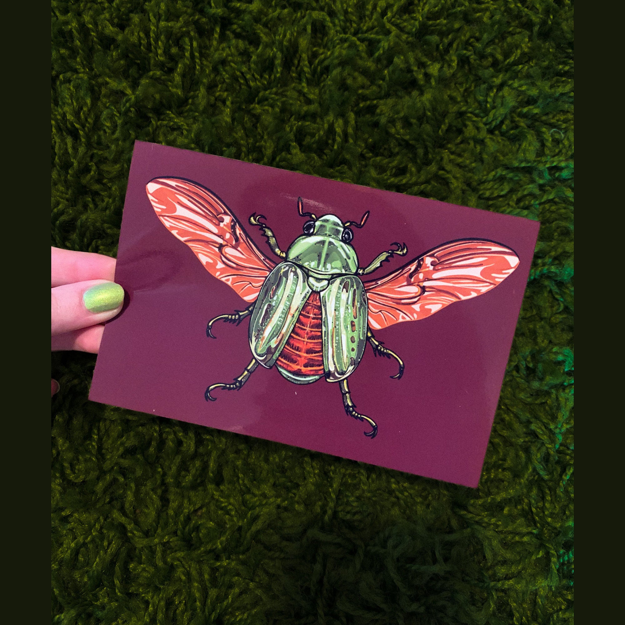 Glorious Scarab Bug Chrysina Gloriosa Glossy Mini 4’ X 6’ Art Print ...