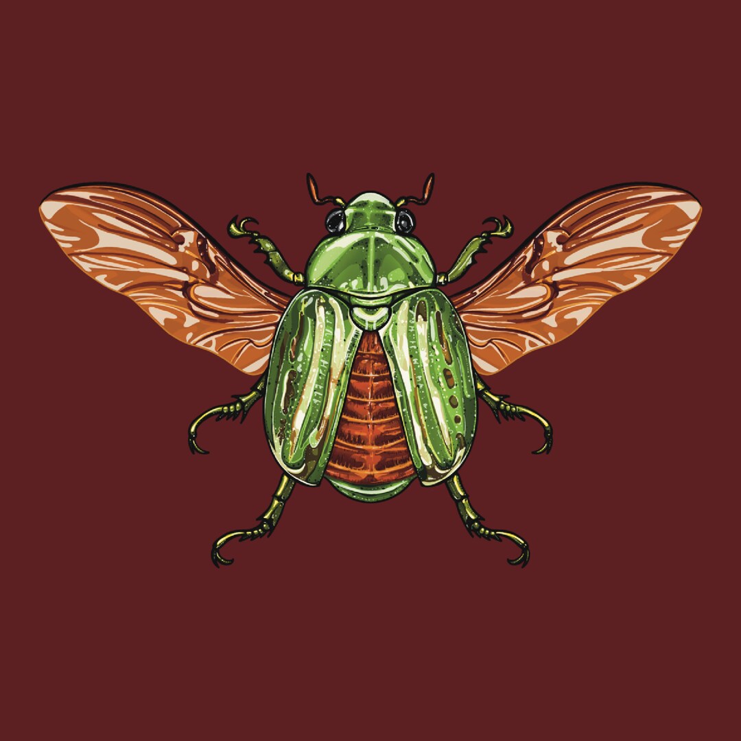 Glorious Scarab Bug Chrysina Gloriosa Glossy Mini 4’ X 6’ Art Print ...