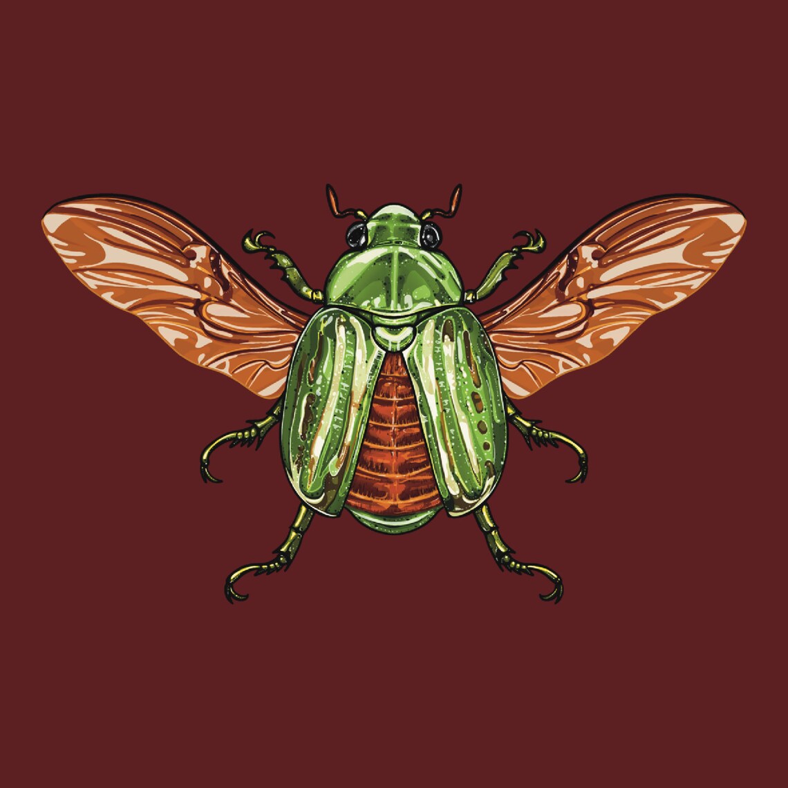 Glorious Scarab Bug Chrysina Gloriosa Glossy Mini 4’ X 6’ Art Print ...