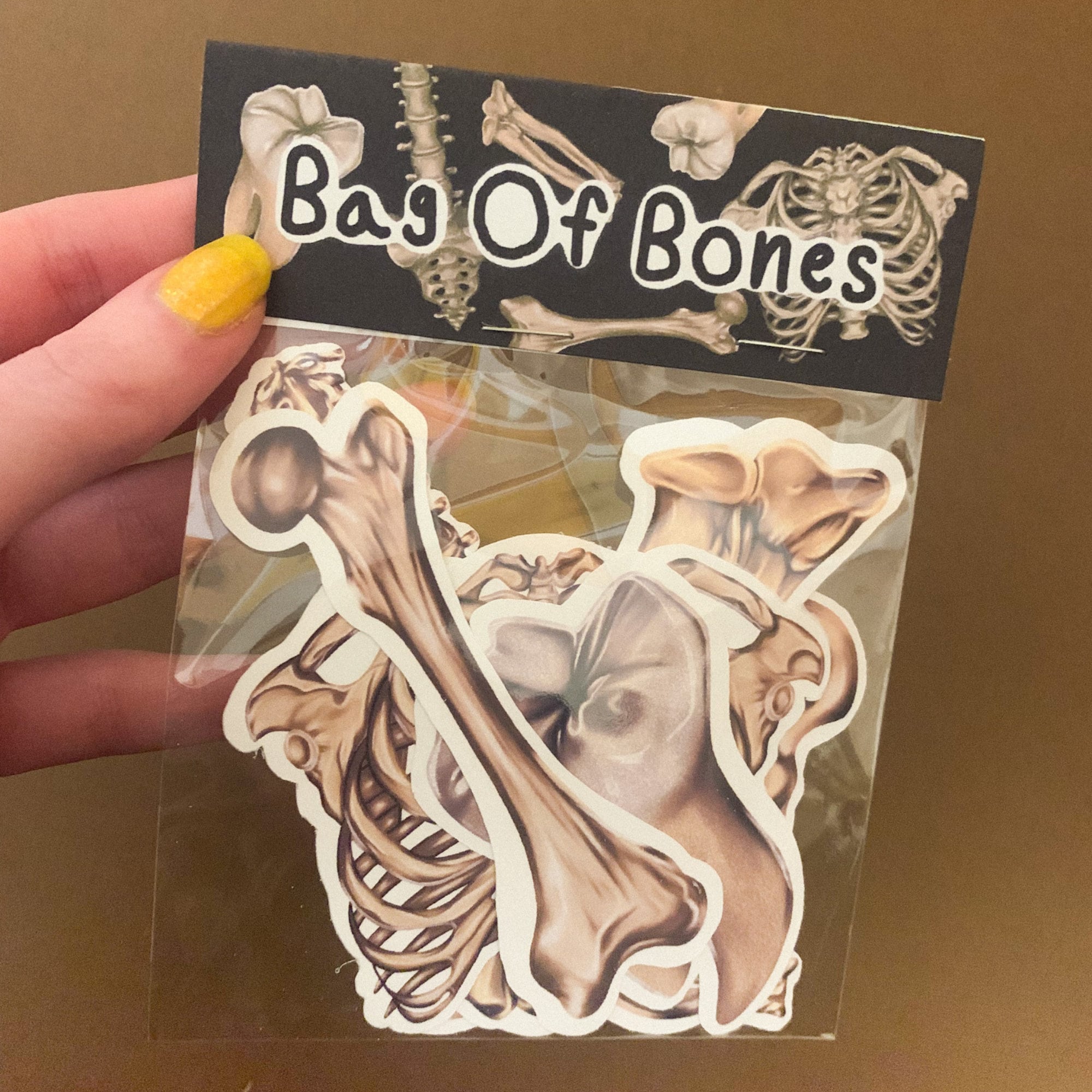 Bone Stickers Bag of Bones Anatomy Matte or Glossy Die Cut Vinyl Creepy ...