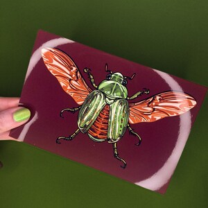 Glorious Scarab Bug Chrysina Gloriosa Glossy Mini 4’ X 6’ Art Print ...