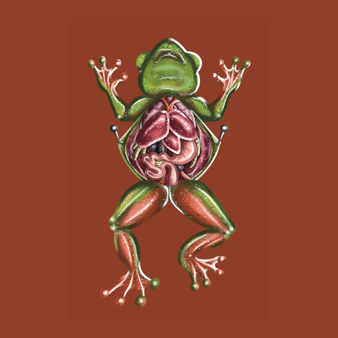 Frog Frank the Frog...autopsy Glossy Mini Art Print 4’ X 6’ Creepy Wall ...