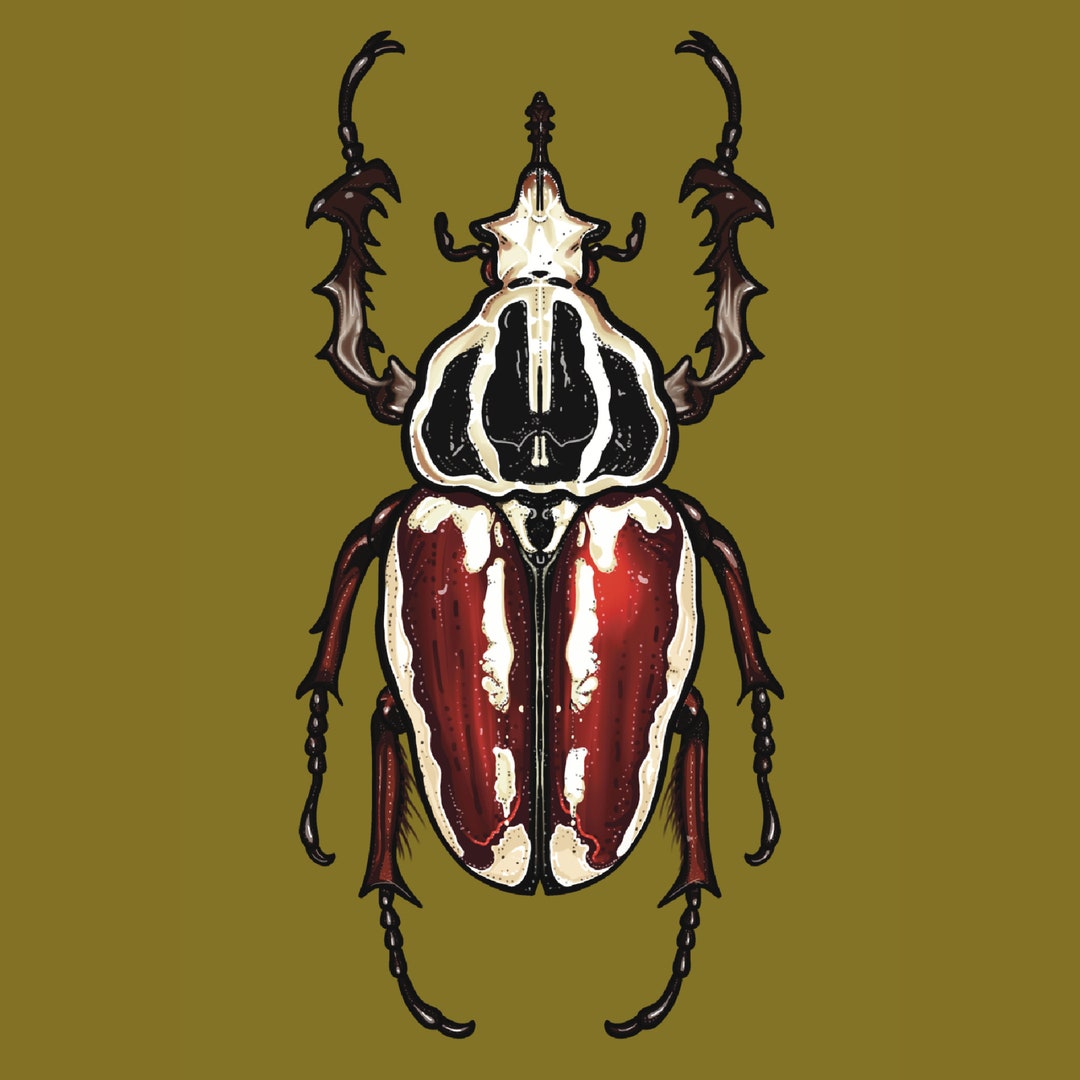 Spooky Bug Goliath Beetle Glossy Mini 4’x 6’ Art Print Handmade Insect ...