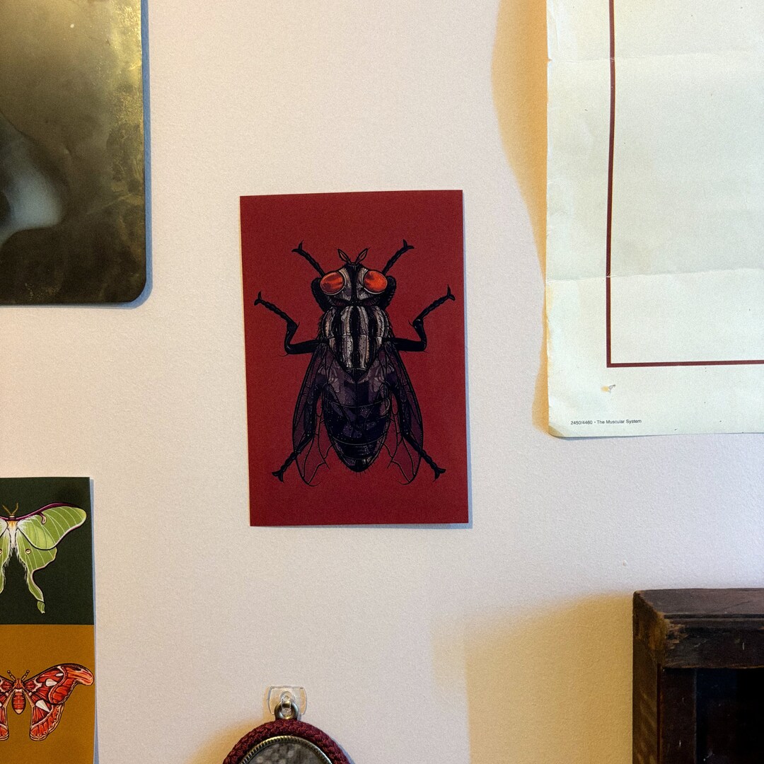 Bug Fly Mini 4’ X 6’ Glossy Art Print Handmade Insect Wall Art - Etsy