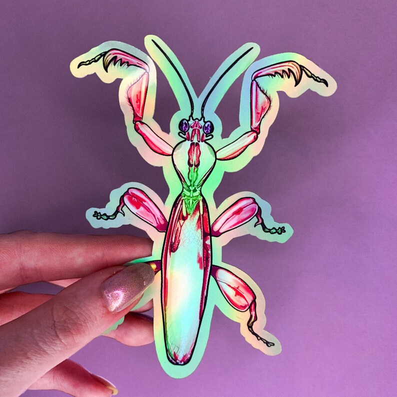 Holographic Bug Orchid Mantis Glossy Die Cut Vinyl Handmade - Etsy