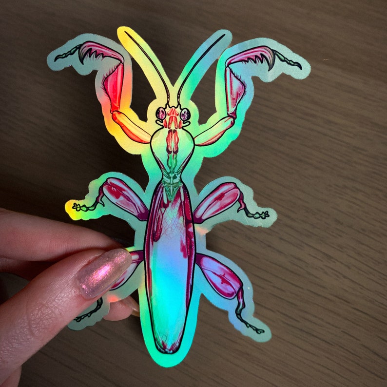 Holographic Bug Orchid Mantis Glossy Die Cut Vinyl Handmade - Etsy