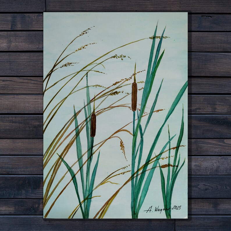 Watercolor Drawing, River Cattail Plant, Original Watercolor Painting ...