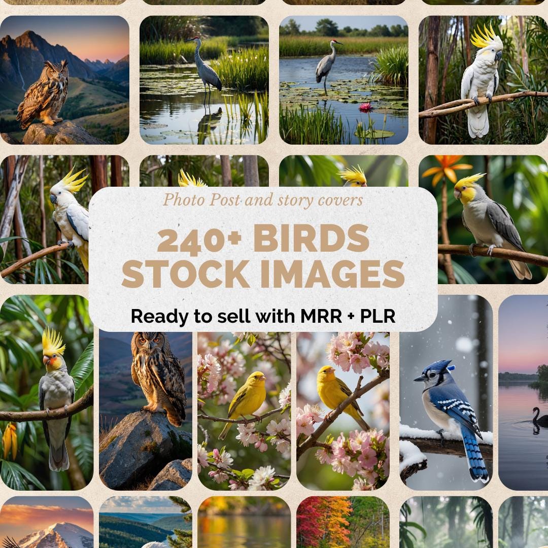240+ Photo Story Covers and Photo Post of Birds, MRR PLR Stock, Birds ...