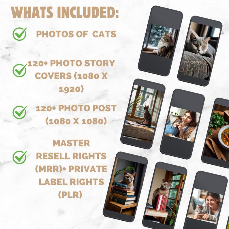 240+ Photo Story Covers and Photo Post of Cats, MRR PLR Stock, Cats ...