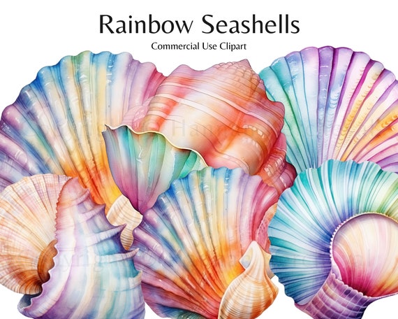 Seashells On The Beach Clipart