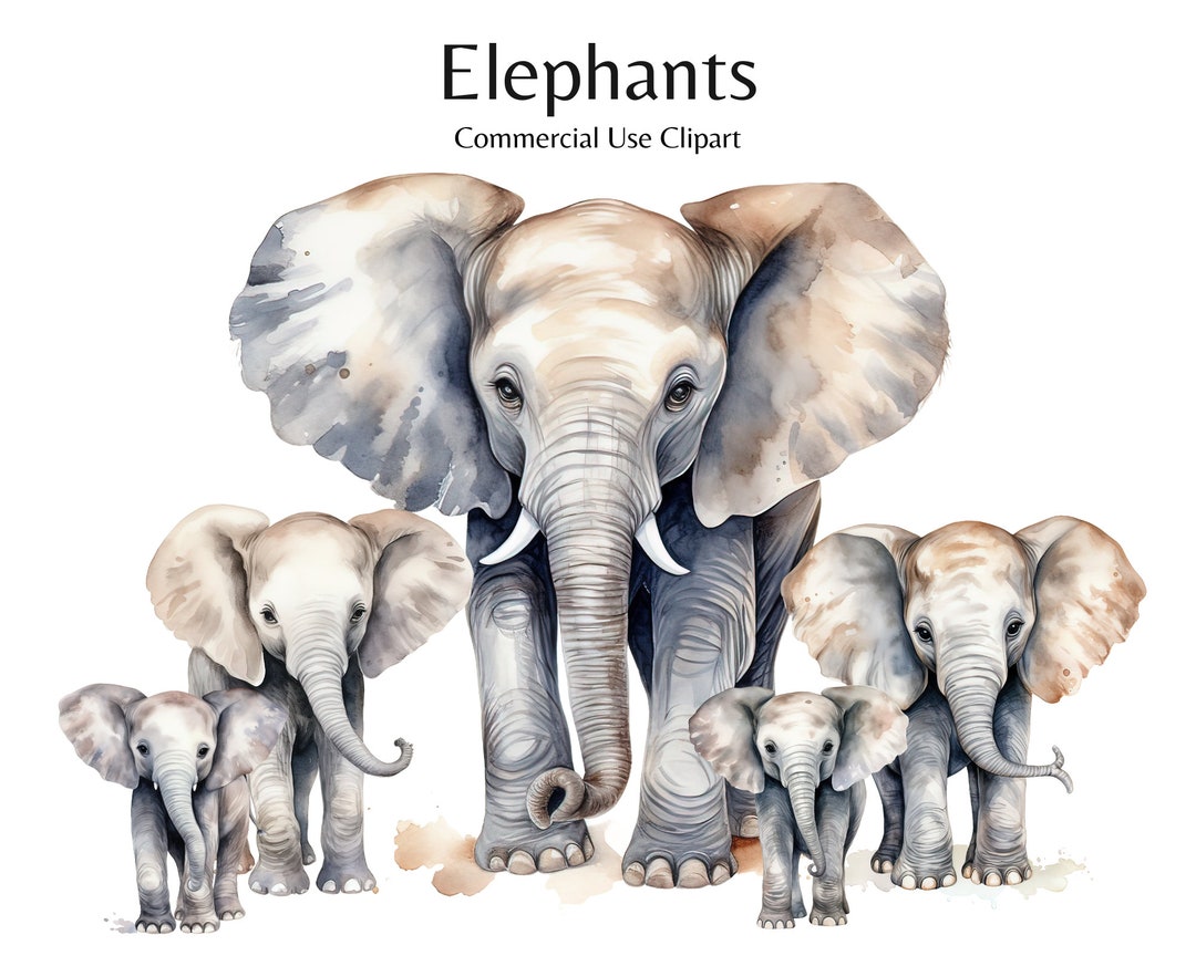 Elephant Clipart Watercolor Elephant Baby Elephant Elephant Cut File ...