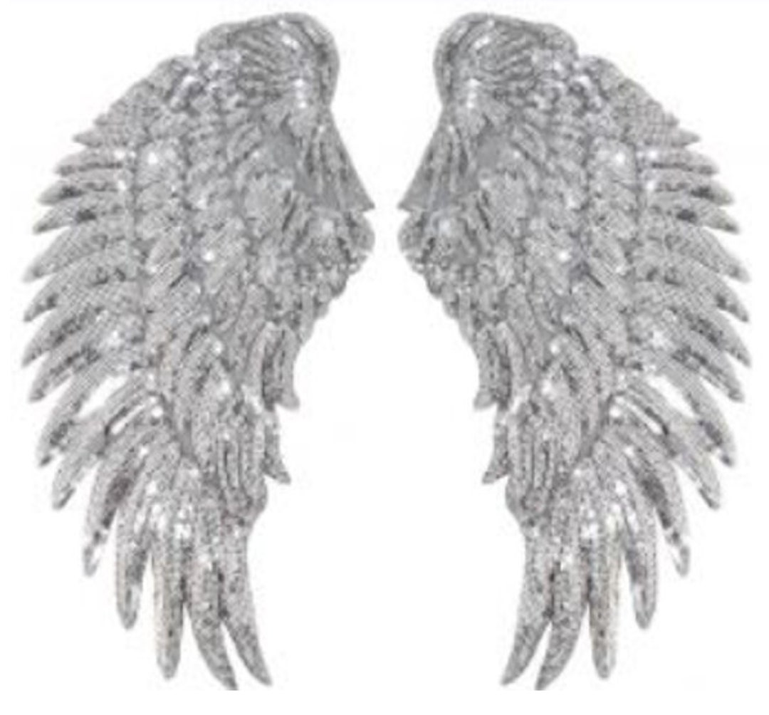 Large Pair of Sliver Iridescent Wings - Etsy