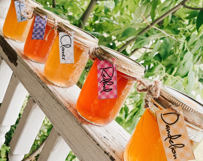 Robin X Redbud Enamel Pin Songbird - Etsy