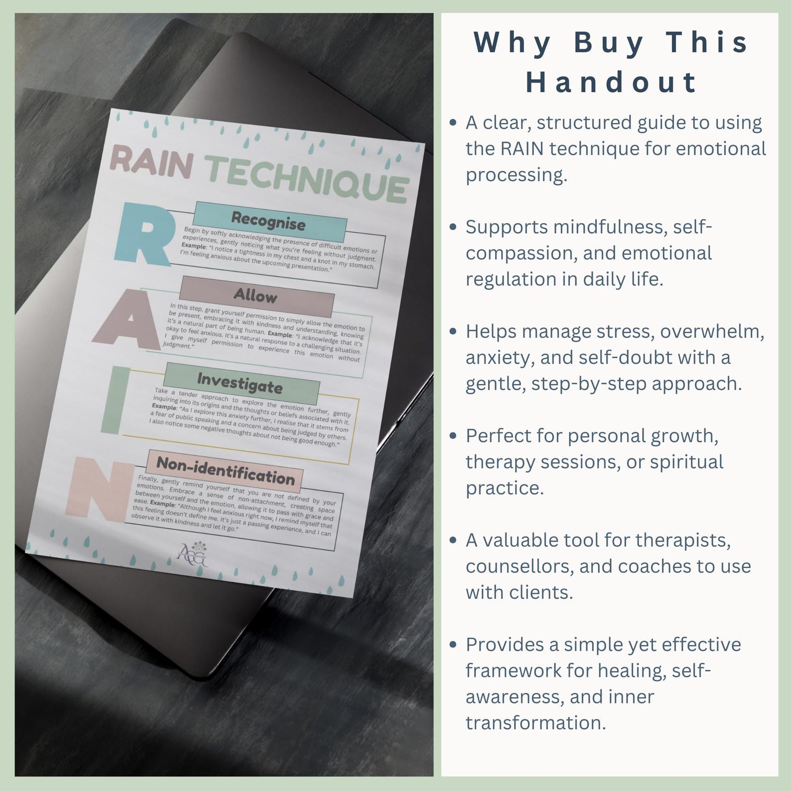 RAIN Technique Cheat Sheet: Mindfulness & Emotional Awareness (PDF) - Etsy