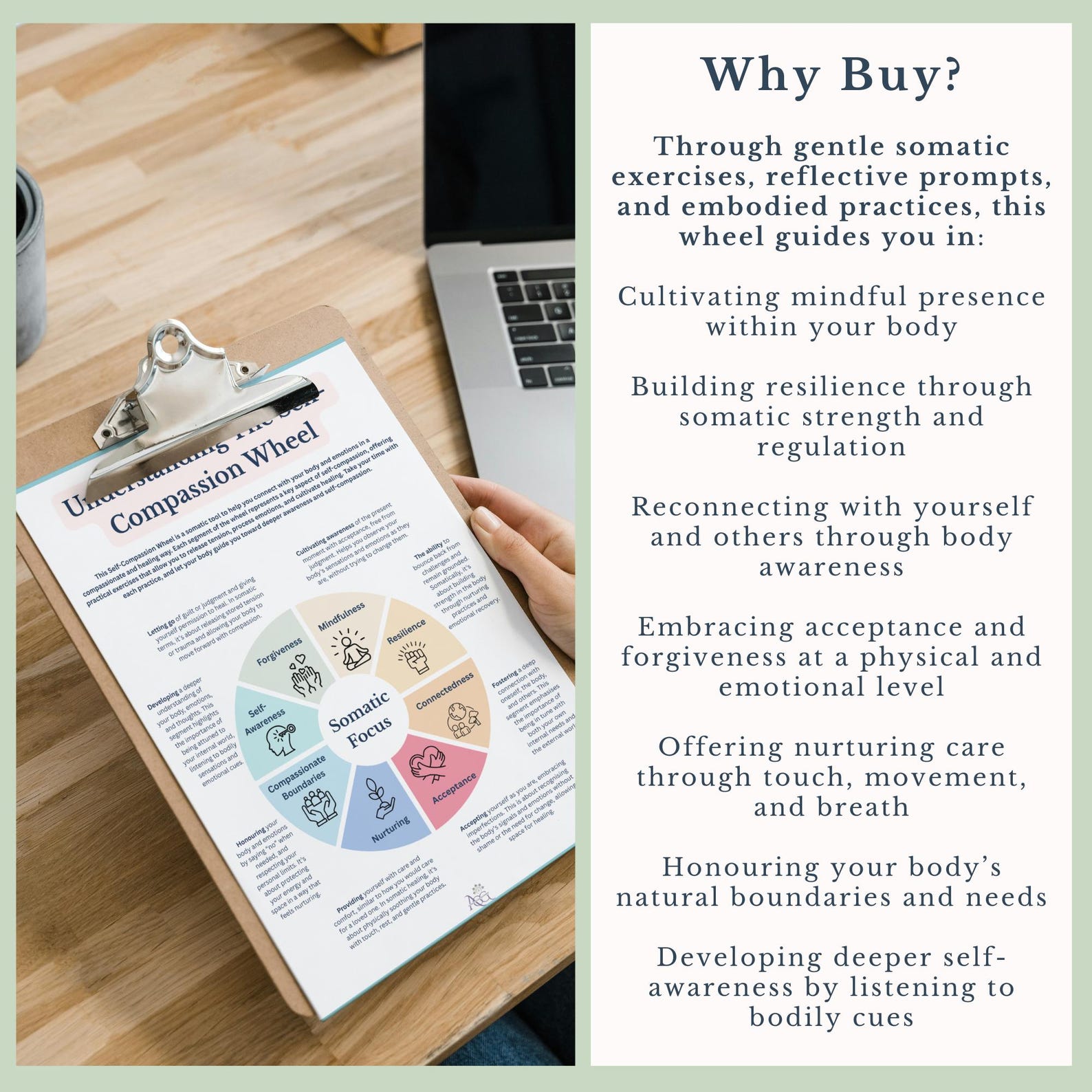 Self-compassion Wheel With Somatic Focus & Prompt Questions - Therapy ...