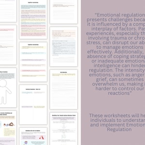 Emotional Regulation Workbook / Emotions Worksheets / Therapy ...