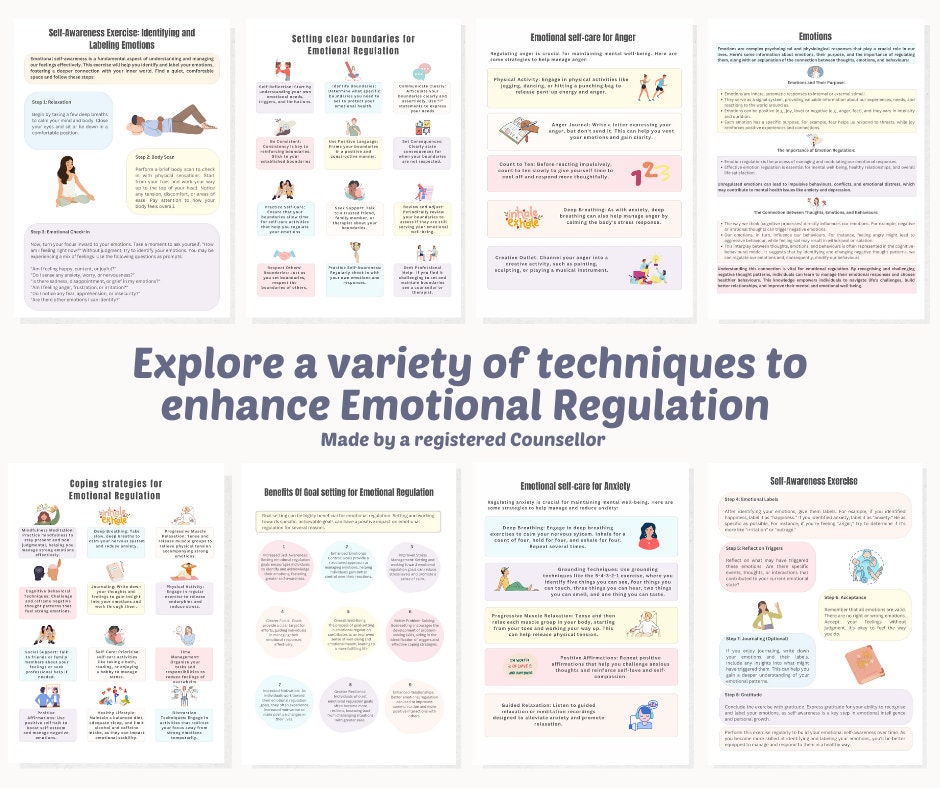 Emotional Regulation Workbook / Emotions Worksheets / Therapy ...
