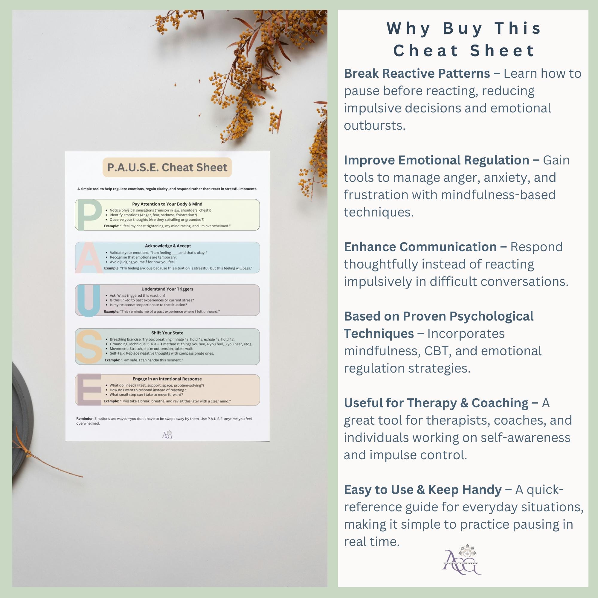 PAUSE Cheat Sheet | Emotional Regulation Tool & Essential Resource for ...